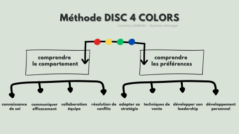 Méthode DISC 4 Colors : comprendre les comportements et relations ...